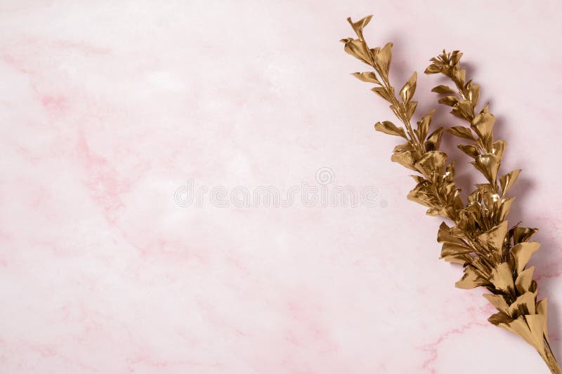 Golden Dried Flower on Pink Marble Table. Space for Text Stock Photo ...
