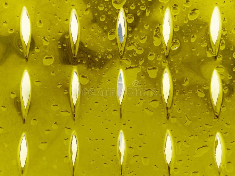 Golden Dew Drop, Pigeon Berry, Sky Flower ( Duranta Erecta ) Stock ...