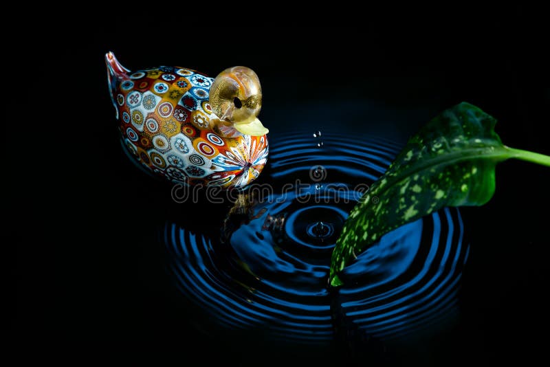 Golden Duck and Water Ripples Stock Photo - Image of golden, duck: 64373552