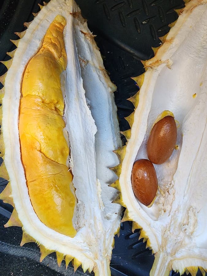 Golden Durian from Indonesia, Delicious Stock Photo - Image of ...