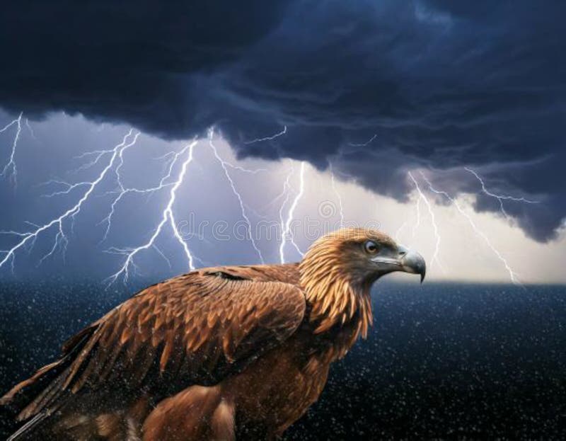 GENERATED IMAGES IA Golden Eagle Facing Approaching Storm with ...