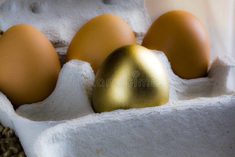 Golden Egg Surprise! stock photo. Image of chickens, financial - 541420