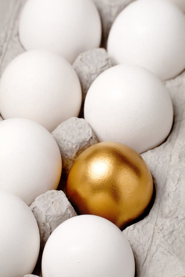 Golden egg stock photo. Image of wealth, making, business - 2473692