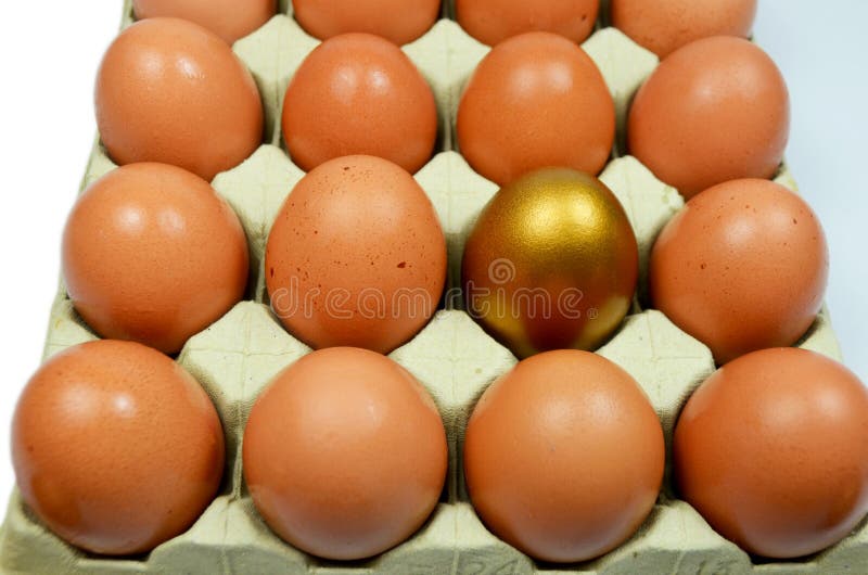 Golden Egg in nest stock photo. Image of retire, business - 32439586