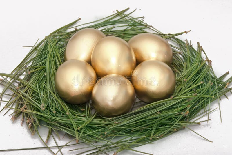 Golden eggs stock image. Image of feet, culinary, foot - 18170593