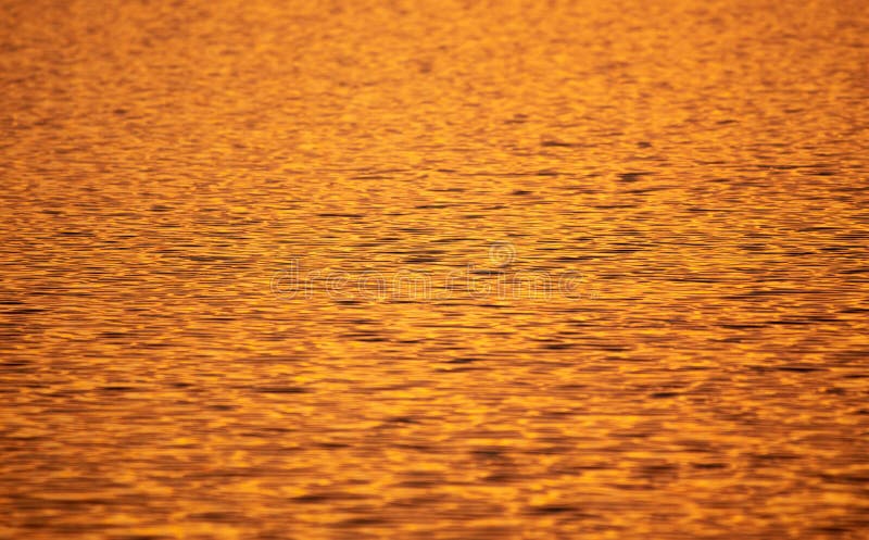 Golden Expanse of Water at Sunset. Stock Photo - Image of bright, water ...