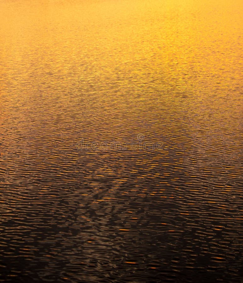 Golden Expanse of Water at Sunset. Stock Photo - Image of coast ...