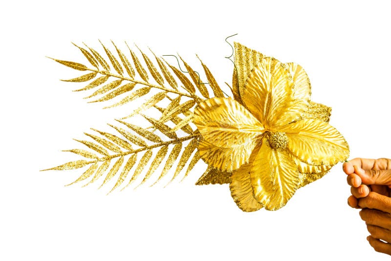 Golden Fabric Flowers Isolated on White Stock Image - Image of branch ...