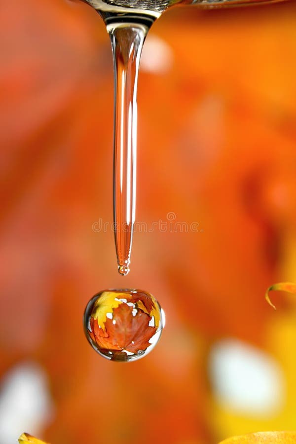 Golden fall drops. stock photo. Image of colored, gold - 11346208
