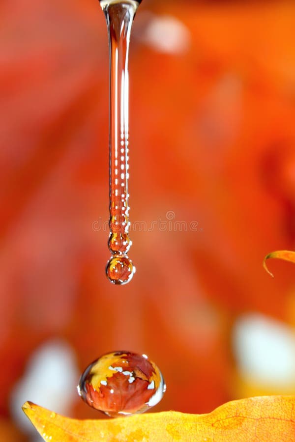 Drops of nature. stock photo. Image of mirror, chain - 15877518