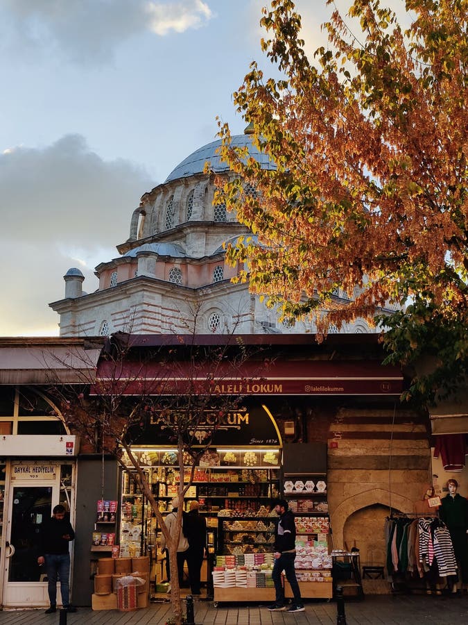 Golden fall in Istanbul editorial image. Image of travel - 265454235