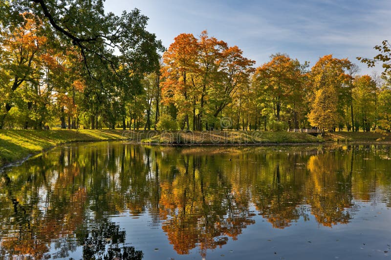 Golden Fall in the park stock image. Image of outdoor - 17274939