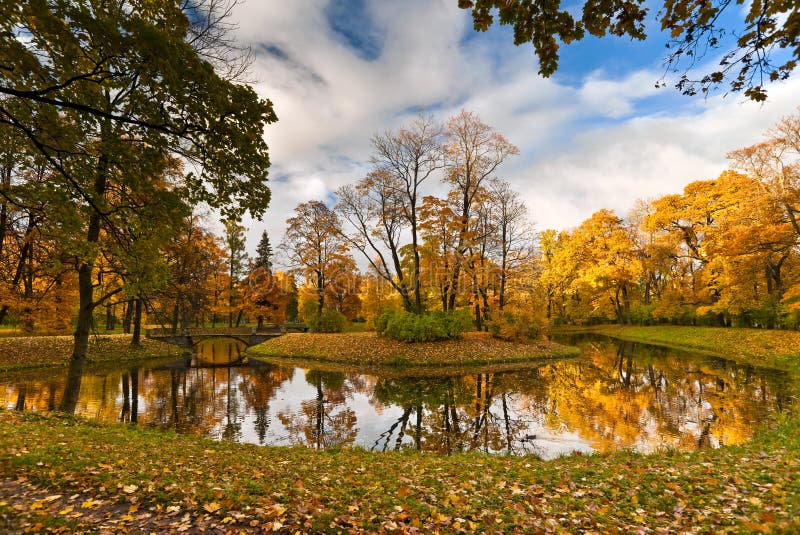 Golden fall stock image. Image of green, duck, weather - 34142133