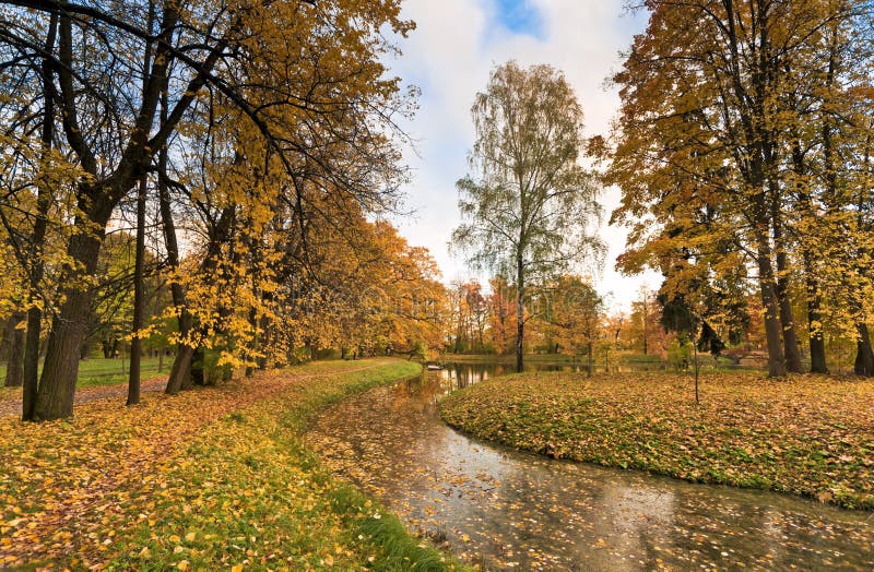 Golden fall stock image. Image of green, duck, weather - 34142133