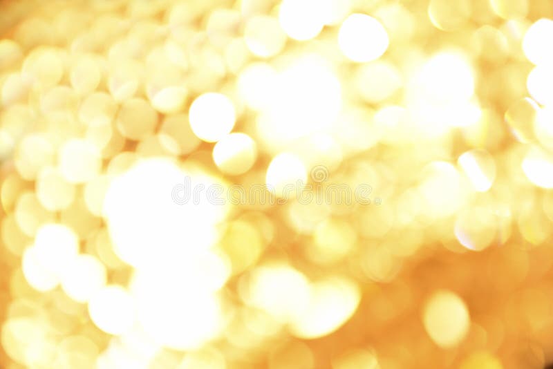 Festive Lights on Trees stock photo. Image of holiday - 3836958