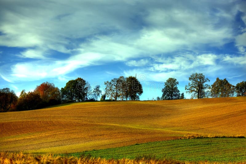 Golden fields stock image. Image of golden, beautiful - 6797345