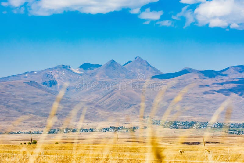 Golden Fields and a High Mountain. Beautiful Mountain Landscape Stock ...