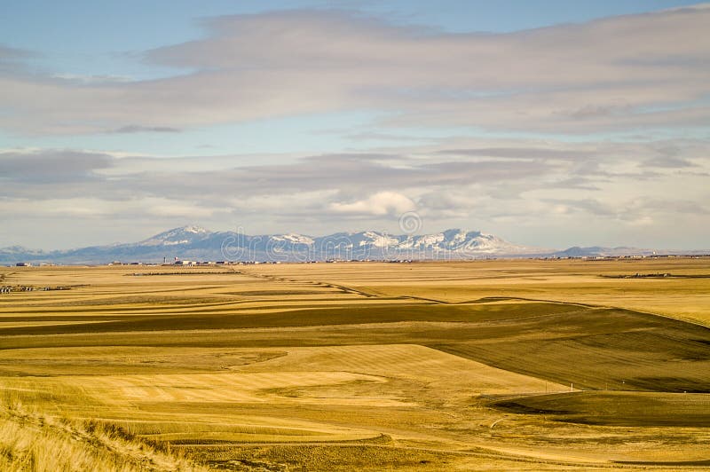 Golden Fields with Mountains Stock Photo - Image of farms, minimalistic ...