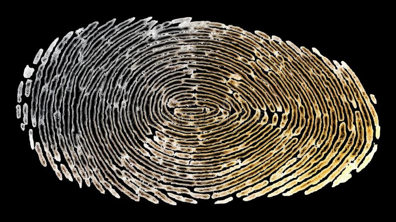 Golden Fingerprint Illustrating Identity, Security, and Access Control ...