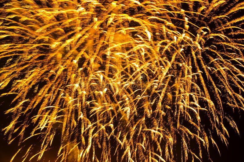 Golden Firework Flowers on the Black Night Sky. Stock Image - Image of ...