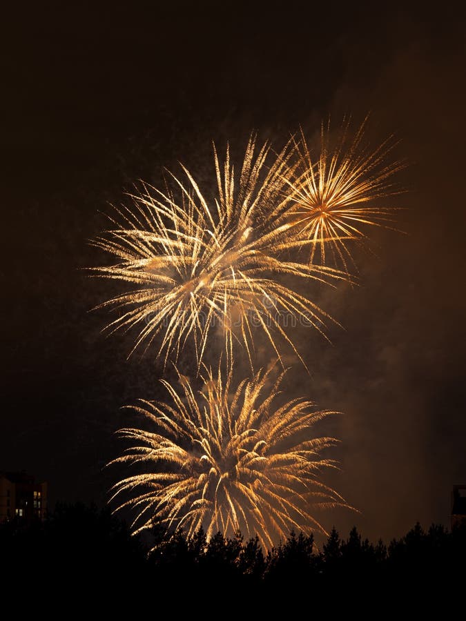 Golden Fireworks Light Up the Night Sky, with Silhouetted Trees and ...