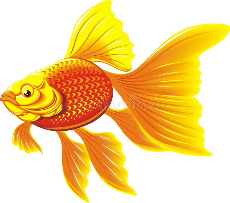 Golden fish stock vector. Illustration of seawater, goldfish - 9214410
