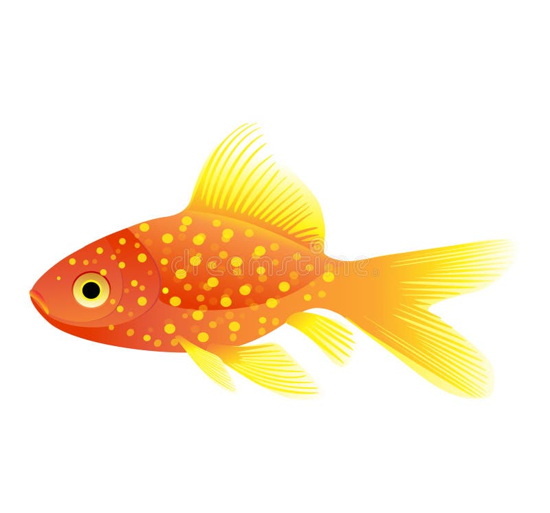 Golden fish vector stock vector. Illustration of round - 23179430