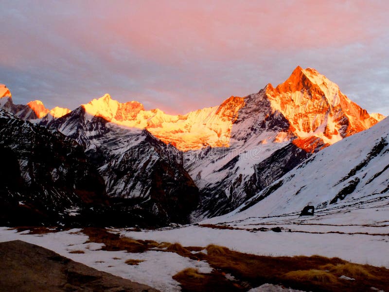 Golden Fishtail stock image. Image of nepal, trekking - 49171877