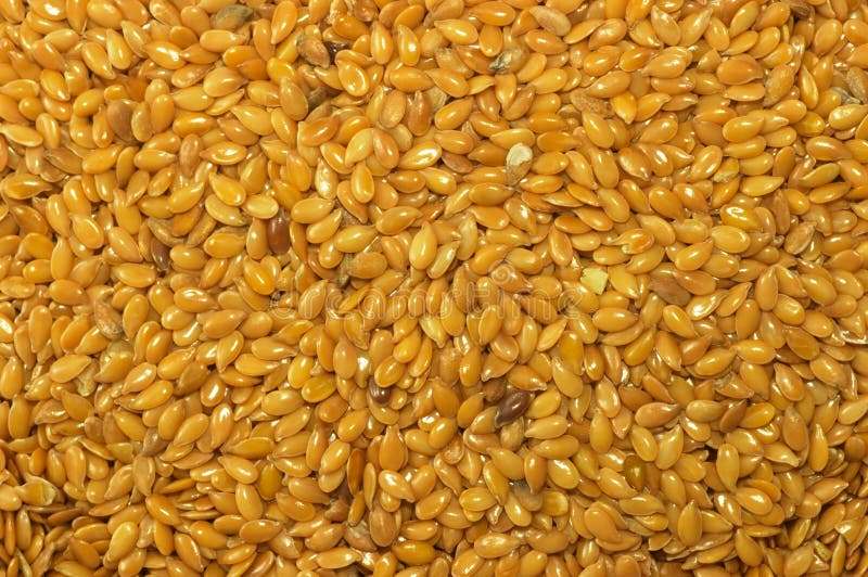Golden Flax seed Linseed stock photo. Image of linolenic - 597976