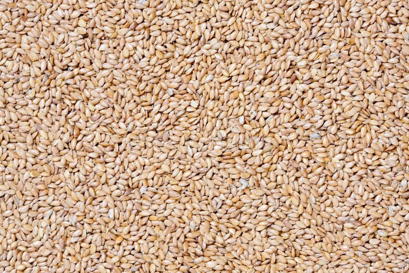Golden Flaxseed stock image. Image of flaxseed, linseed - 19031263