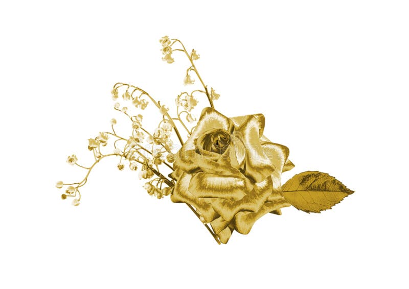 Golden flower stock image. Image of tulips, beauty, bouquet - 96018843