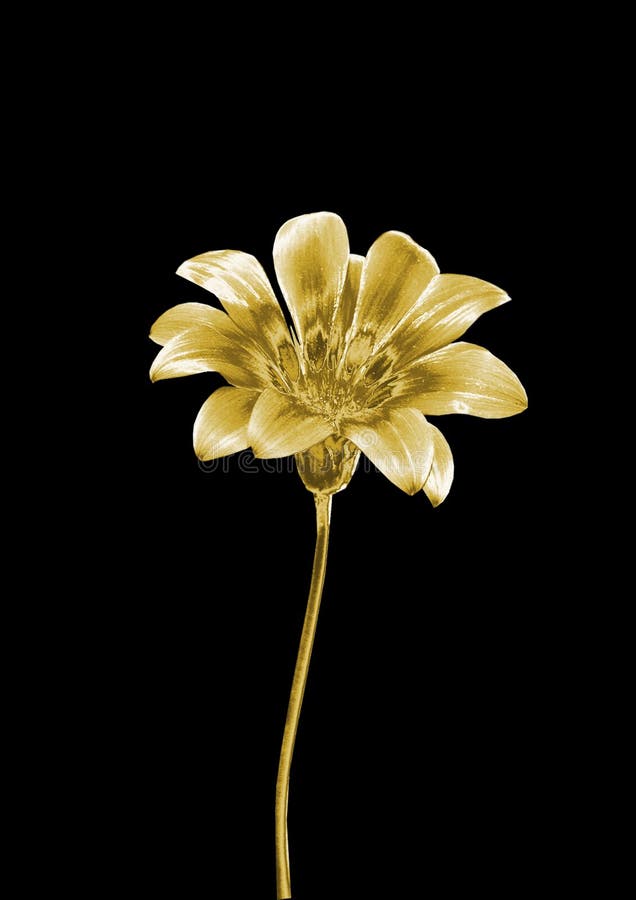 Golden flower stock image. Image of closeup, golden, abstraction - 96018915