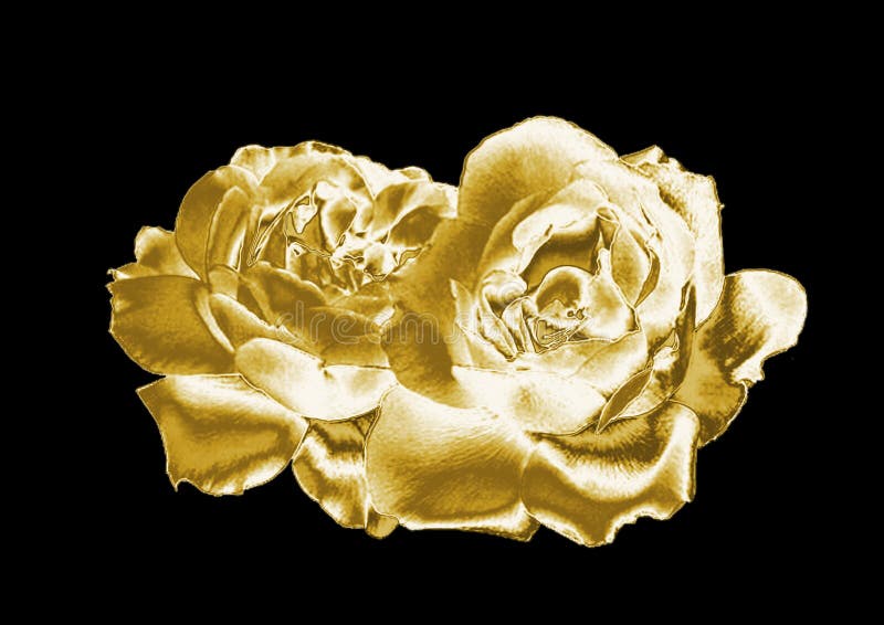 Golden flower stock image. Image of closeup, beautiful - 96019551