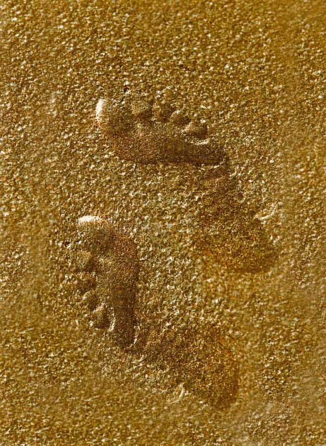 Footprints At Golden Scale Dragon Spine Beach Stock Photo - Image of ...