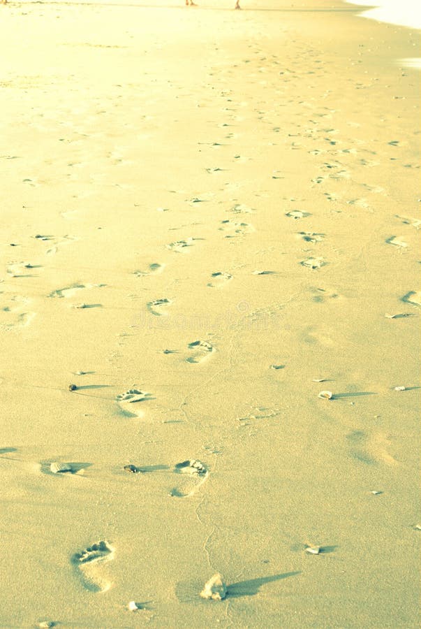 Golden Footprints in the Sand Stock Image - Image of sandy, sand: 55831365