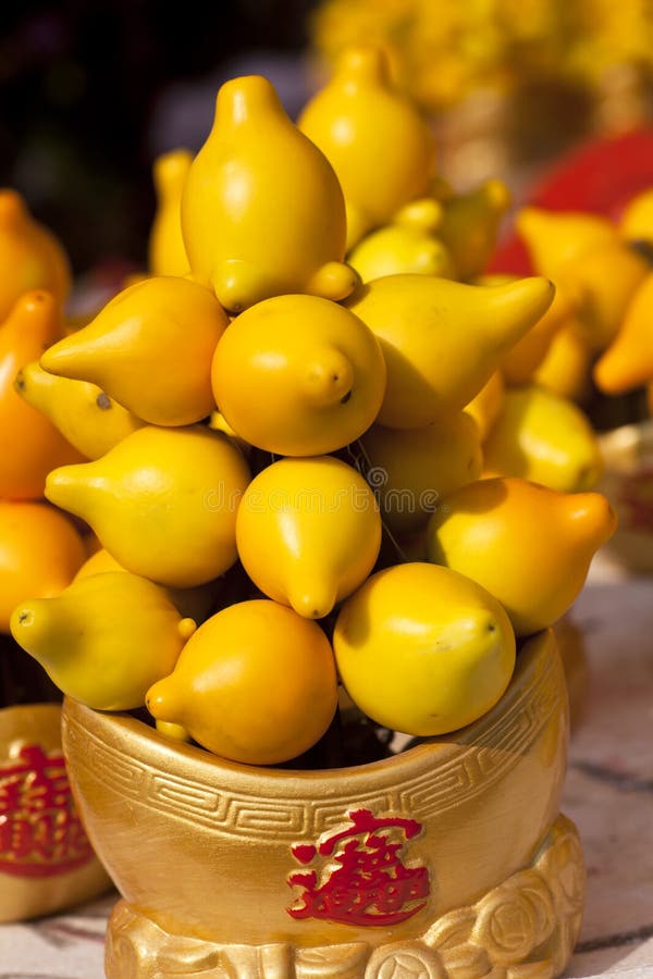 Golden fruits stock image. Image of solanum, year, chinese - 18214945