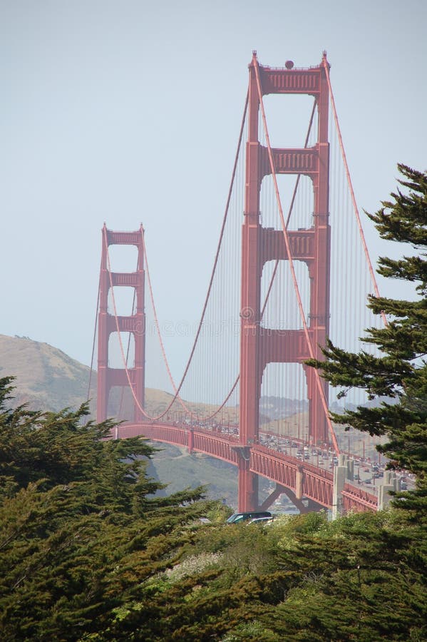 Steel Ropes Golden Gate Bridge Stock Photos - Free & Royalty-Free Stock ...