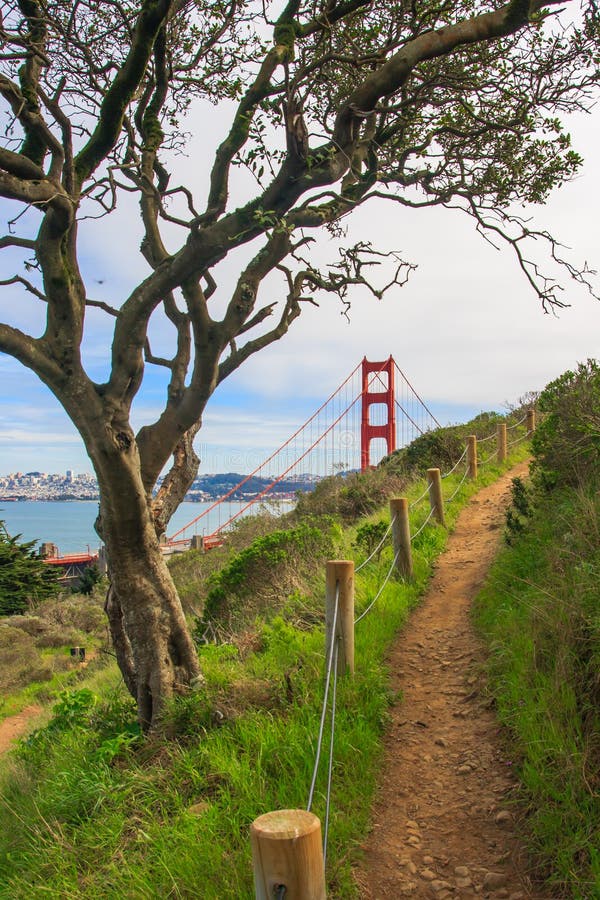 Golden Gate Bridge stock photo. Image of construction - 24060914