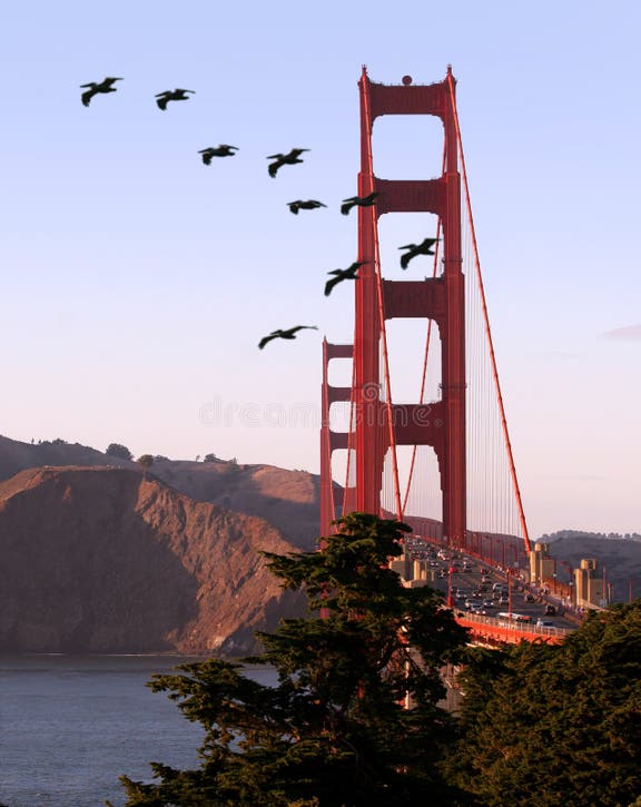 Golden Gate bridge stock image. Image of francisco, landscape - 267483