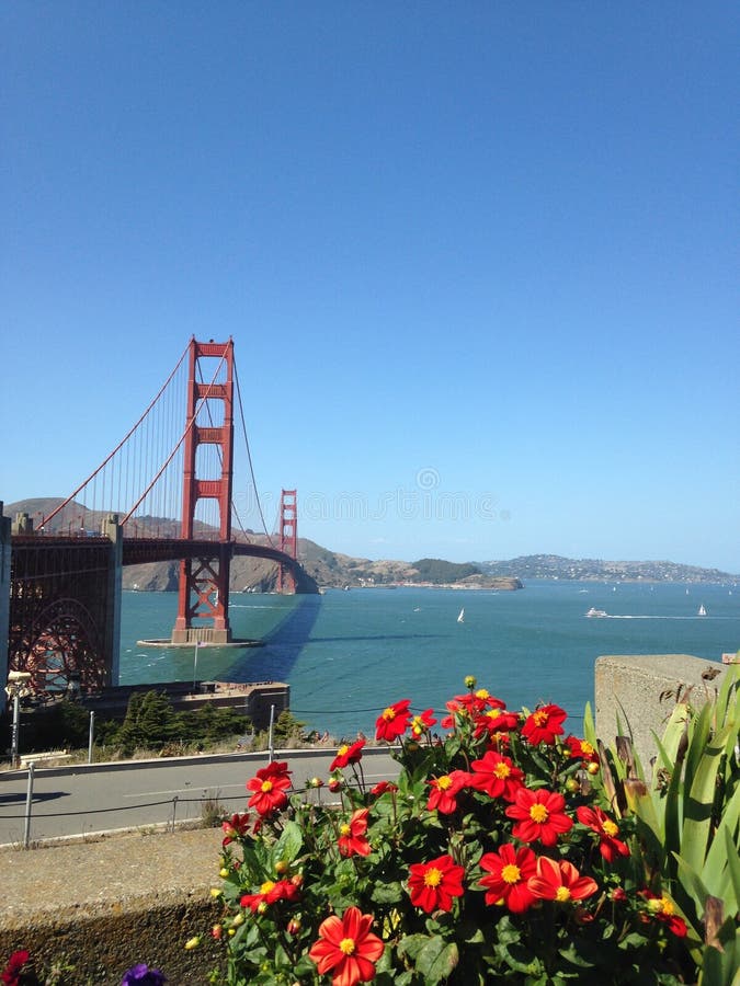 Golden gate bridge stock photo. Image of flowers, golden - 85740682