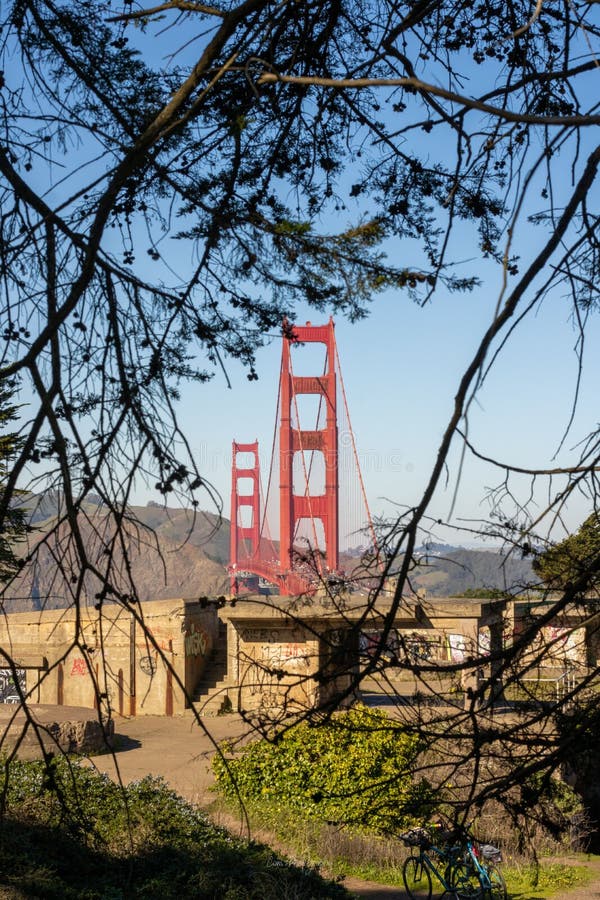 Golden Gate Bridge through Tree Branches in a Forest Editorial Stock ...