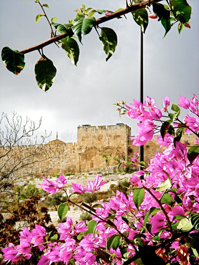 The Golden Gate Eastern Gate in the Eastern Wall of Jerusalem Stock ...