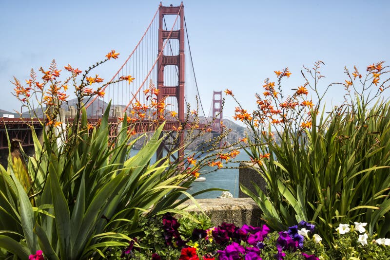 Golden Gate, San Francisco stock image. Image of attraction - 58779923
