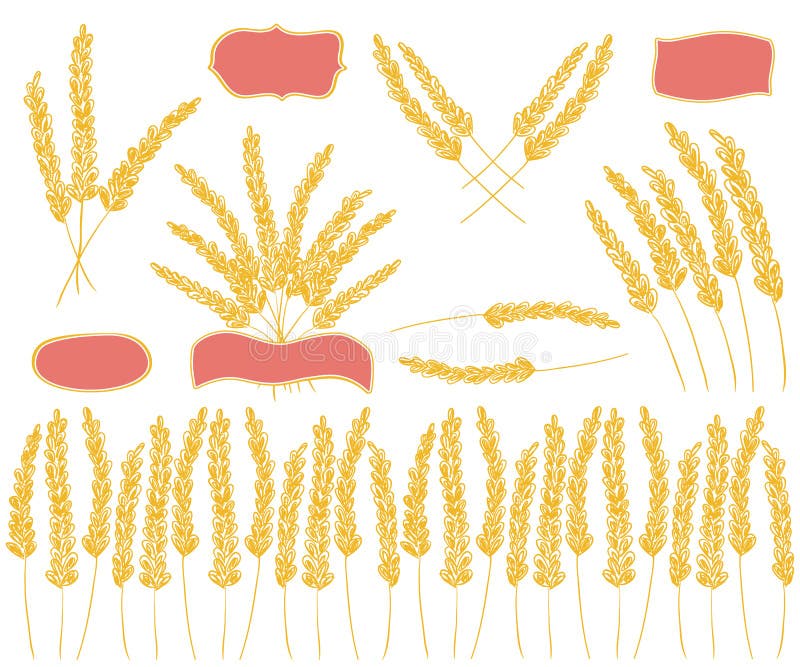 Golden Grain Design Elements Stock Vector - Illustration of flour ...