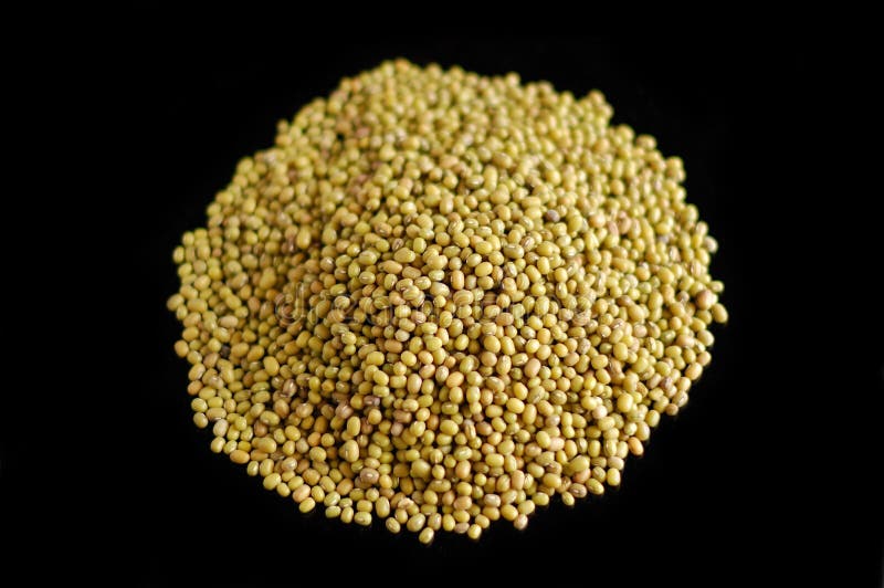 Green gram flower stock image. Image of mung, golden - 13442287