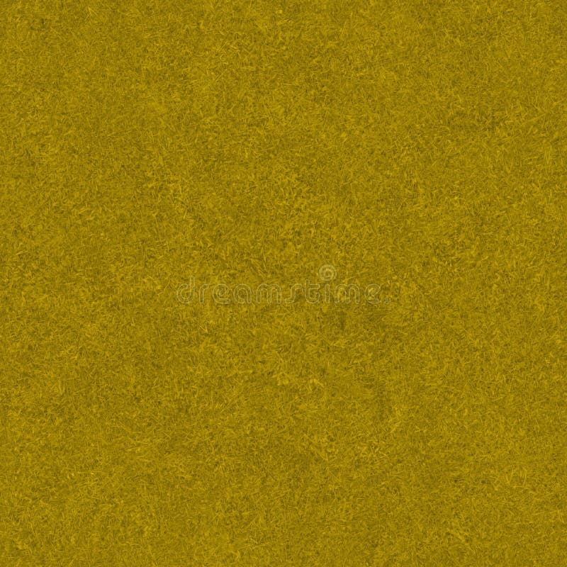 Grass Field Texture stock photo. Image of wallpaper, saturated - 12018914