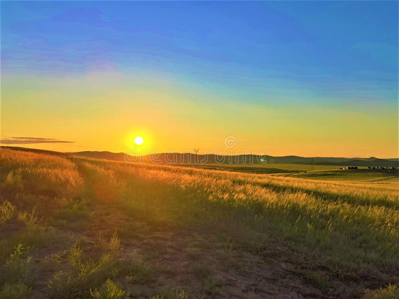 Sun and grassland stock image. Image of steppe, plain - 310327537
