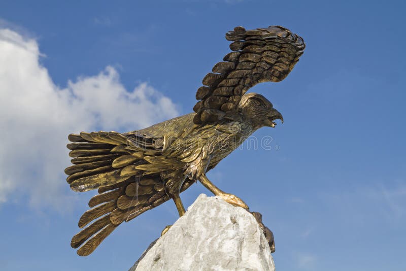 Golden Hawk stock image. Image of predator, eagle, british - 20249265