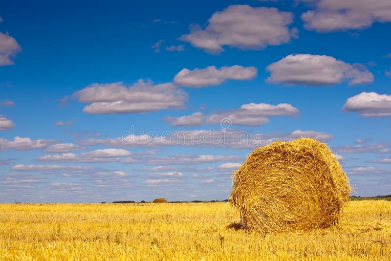 Golden hay bale stock photo. Image of outdoors, nature - 18775280