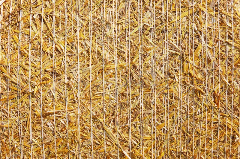 1,692 Hay Bale Backdrop Stock Photos - Free & Royalty-Free Stock Photos ...